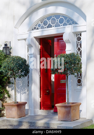 Clipped bay trees on either side of blue front door of Victorian house ...