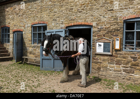 A man in a Victorian farmhand costume examines a Tamworth pig that is ...