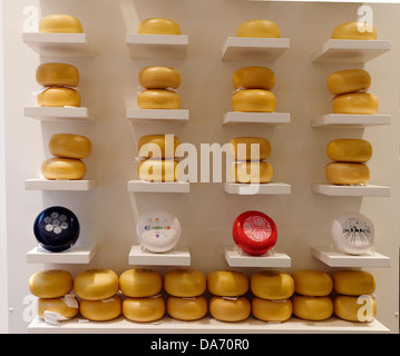 Selection of cheeses in wheels and wedges, cheesemonger shop display in ...