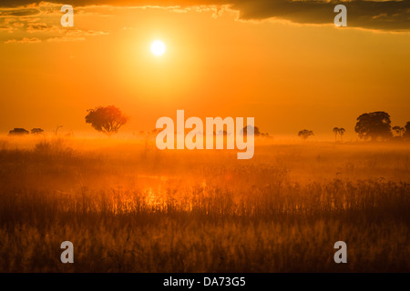 Spectacular orange glow of Okavango Delta sunrise continues on marshland Stock Photo - Alamy