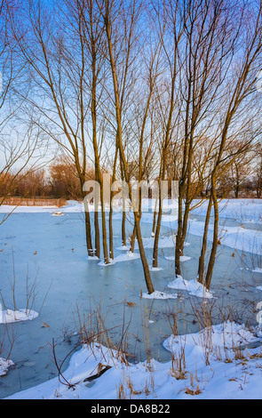 traditional bog landscape with blue swamp lake, gorgeous clouds, mire ...