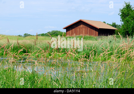 Rural farmland and marsh with new barn Stock Photo - Alamy