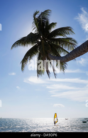 Vietnam, Mui Ne, Mui Ne Beach, Windsurfer Stock Photo - Alamy