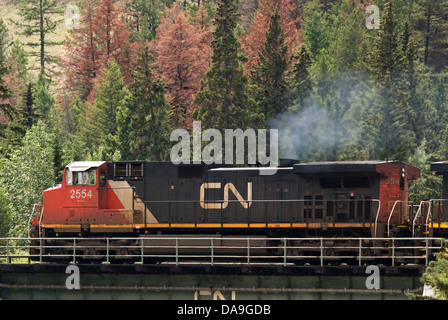 A Canadian National C44 - 9W locomotive waits to depart Jasper station ...