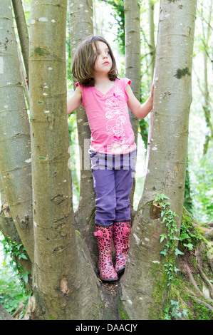 six year old girl climbing tree Stock Photo - Alamy