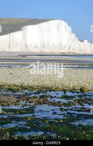 Seaford Head chalk cliffs near Seaford East Sussex England United ...