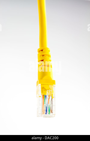 close-up of a RJ45 connector to connect computers to the Internet and ...