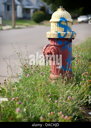 Fire Hydrant surrounded by wildflowers in downtown Mason Texas Stock ...