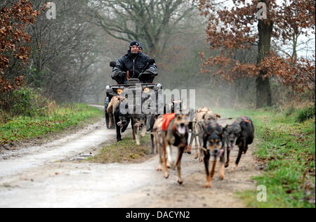 Michael Tetzner takes a practice lap with his dogs in a forest area ...