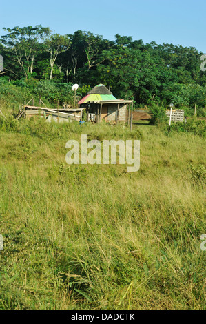 Building a Zulu Homestead - Building a Zulu hut - South Africa, circa ...