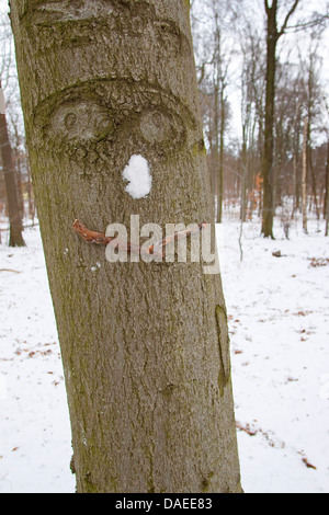 Tree trunk with eyes, nose, and mouth, Burlington, Ontario Stock Photo ...