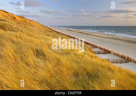 Germany, Schleswig-Holstein, Sylt, nature reserve Rantum Stock Photo ...