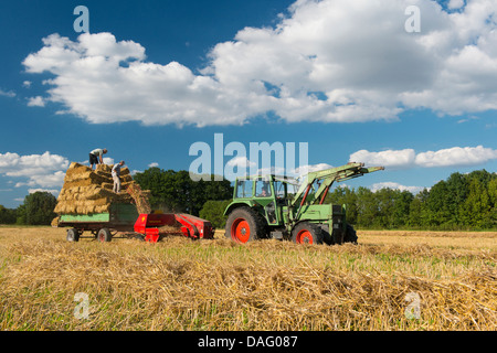 farmer on tractor with baler and trailer harvesting on a grain field ...