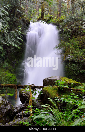 Merriman Falls. Olympic National Park, Washington, USA Stock Photo - Alamy