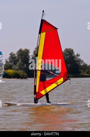 Side view of brightly colored sails on windsurf boards, Jamaica Stock ...