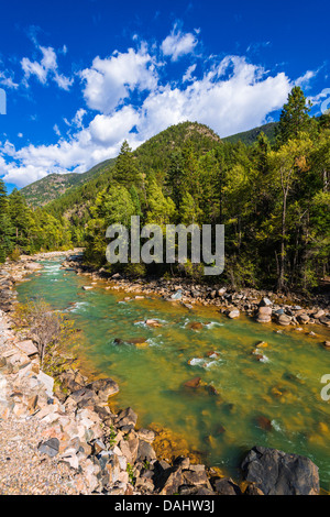 USA, Colorado, San Juan National Forest. Dawn ground fog covers ...