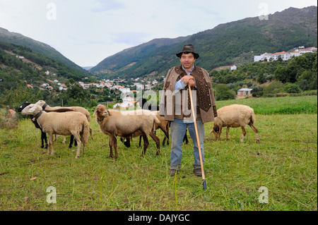 Shepherd tending sheep and goats grazing in meadow, Central Anatolia ...
