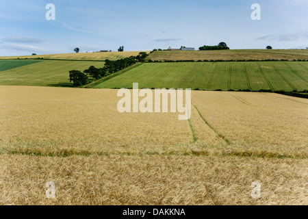500th anniversary of the Battle of Flodden, Flodden Field, Etal,County ...