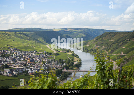 Mosel River and Vineyards Landscape in bright spring green at Piesport ...
