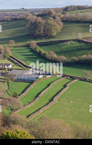 Taddiport Leper Fields, Devon: two surviving Medieval strip fields used ...