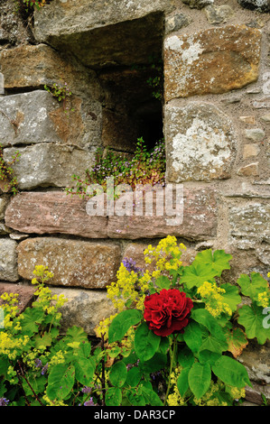 Castle Campbell, Dollar, Ochils, Central Region, Scotland, UK Stock ...