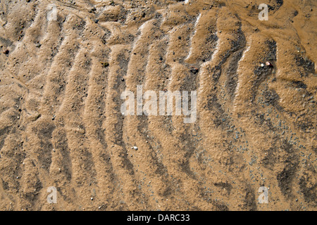 Ridged rivulets in brown mud with black sediment after a rain Stock ...