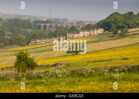 Thornton village near Bradford, fields with buttercups and a solitary ...
