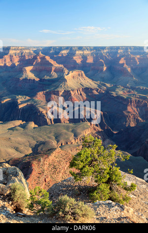 Grand Canyon National Park, Yavapai Point Stock Photo - Alamy