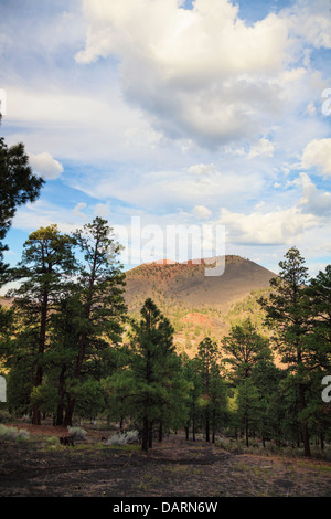 Sunset Crater National Monument, Flagstaff Arizona Stock Photo - Alamy