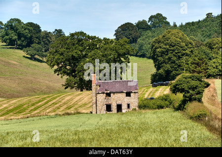 An old abandoned farm cottage on Bodmin Moor in Cornwall Stock Photo ...