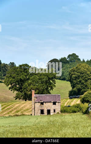 An old abandoned farm cottage on Bodmin Moor in Cornwall Stock Photo ...
