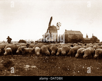 Biscot Windmill, Luton early 1900s Stock Photo - Alamy