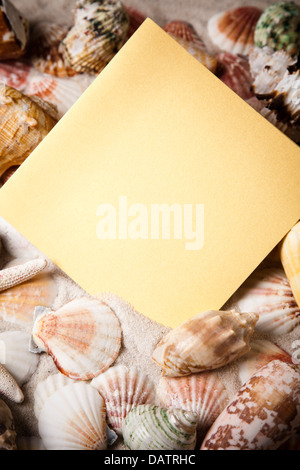 Messages between sands and shells Stock Photo - Alamy