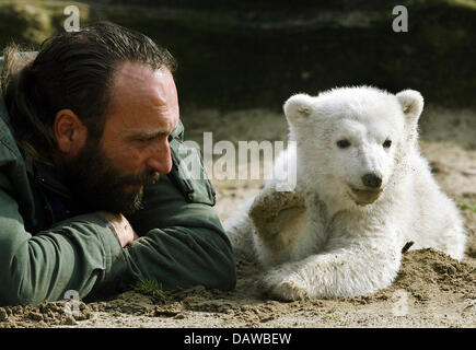 Polar bear cub 'Knut' (R) and his 'foster father', keeper Thomas ...