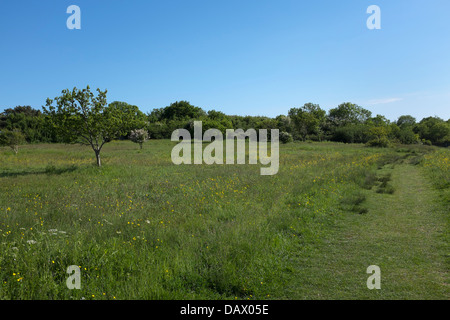 Wildlife Park at Lavernock near Penarth South Wales Stock Photo - Alamy