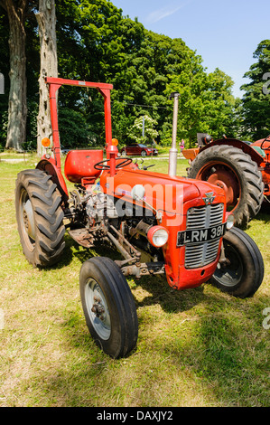 Massey Ferguson FE35 MF35 tractor released in 1955 (USA) 1956 (UK ...