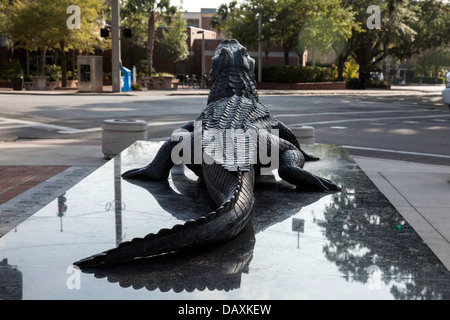 Bronze alligator statue, mascot for the University of Florida, stands ...