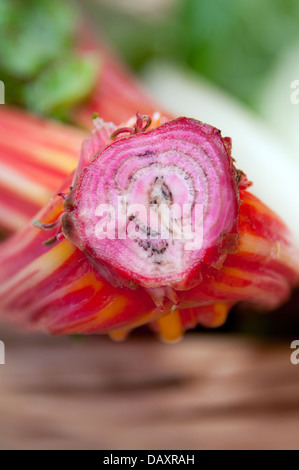 fresh green silverbeet leaves Stock Photo - Alamy