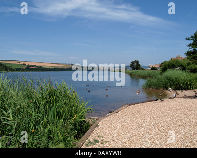 Slapton Ley Nature Reserve, Devon Stock Photo - Alamy