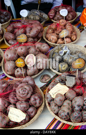 Colorful Peru potatoes for sale at a Peruvian Market, South America ...