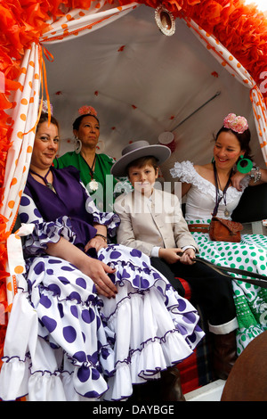 Andalusian horse, El Rocio, Donana National & Natural Park, Andalusia ...
