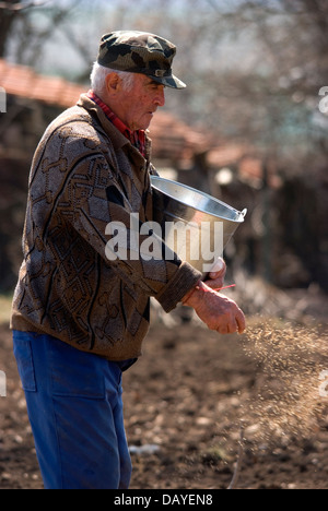 Bulgarian farmer planting seeds the traditional way Stock Photo - Alamy