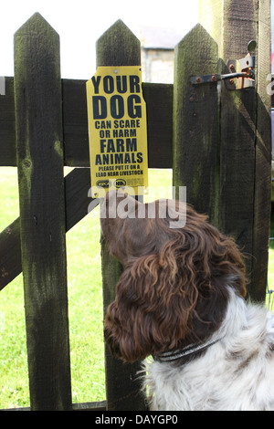 Warning sign about dogs worrying scaring cattle livestock keep your dog ...