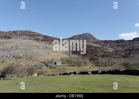 The Roman steps, The Rhinogs. Snowdonia National Park. Wales Stock ...