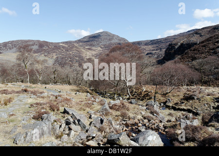 The Roman steps, The Rhinogs. Snowdonia National Park. Wales Stock ...