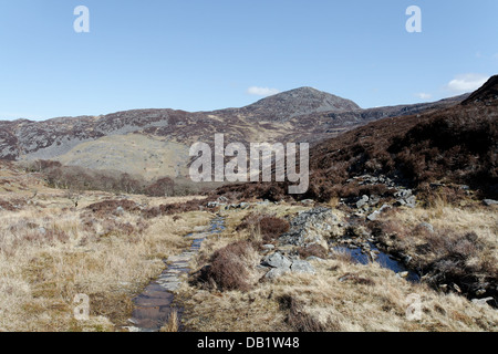 The Roman steps, The Rhinogs. Snowdonia National Park. Wales Stock ...