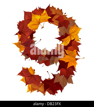 Number nine multicolored fall leaf composition isolated Stock Photo - Alamy