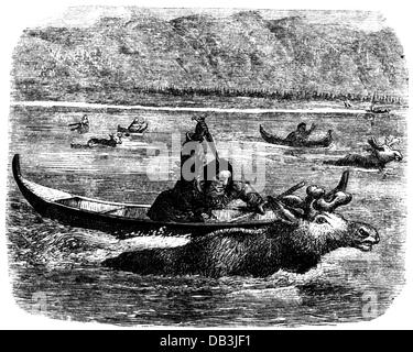 Native American moose hunting in North West Territory Stock Photo - Alamy