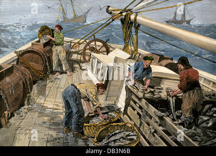 Cod fishing on the Grand Banks, Newfoundland. Date: 1870 Stock Photo ...