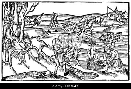 agriculture,farm labour,field,plough with span of oxen,after Anglo ...